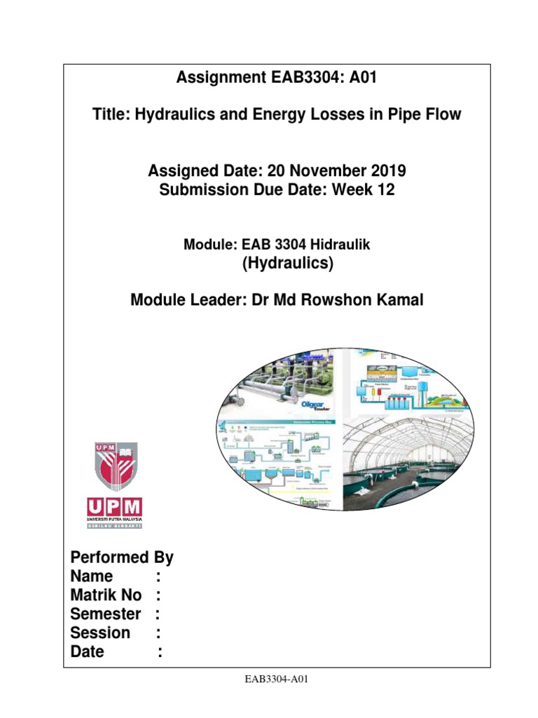 EAB3304 Assignment 01 Pipe Hydraulics and Energy Losses in Pipe Flow | PDF