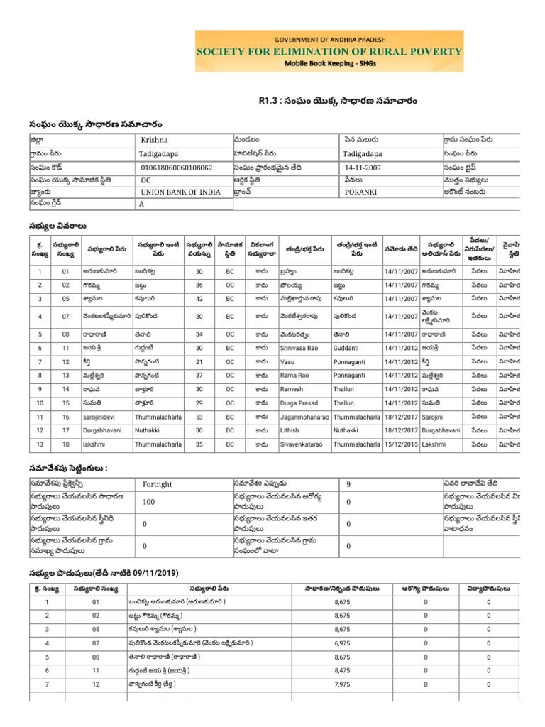 SHG Data Entry Reconciliation 10.12.19 Form PDF | PDF