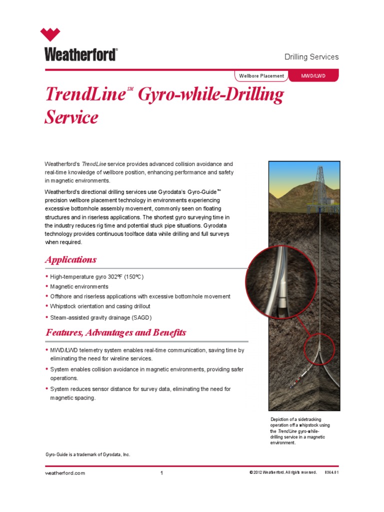 Trendline Gyro While Drilling Service PDF | Download Free PDF | Nature