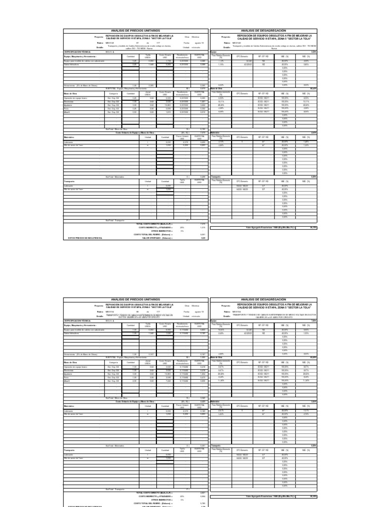Apus Electrico | PDF | Naturaleza | Business