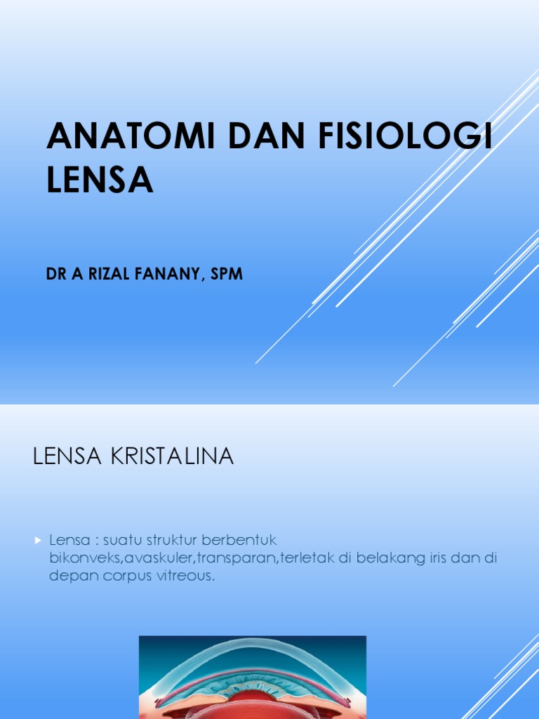 Anatomi Lensa | PDF | Sains & Matematika