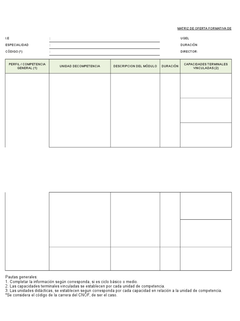 Formato MATRIZ DE PLANES DE ESTUDIO CETPRO - REGIONES | PDF