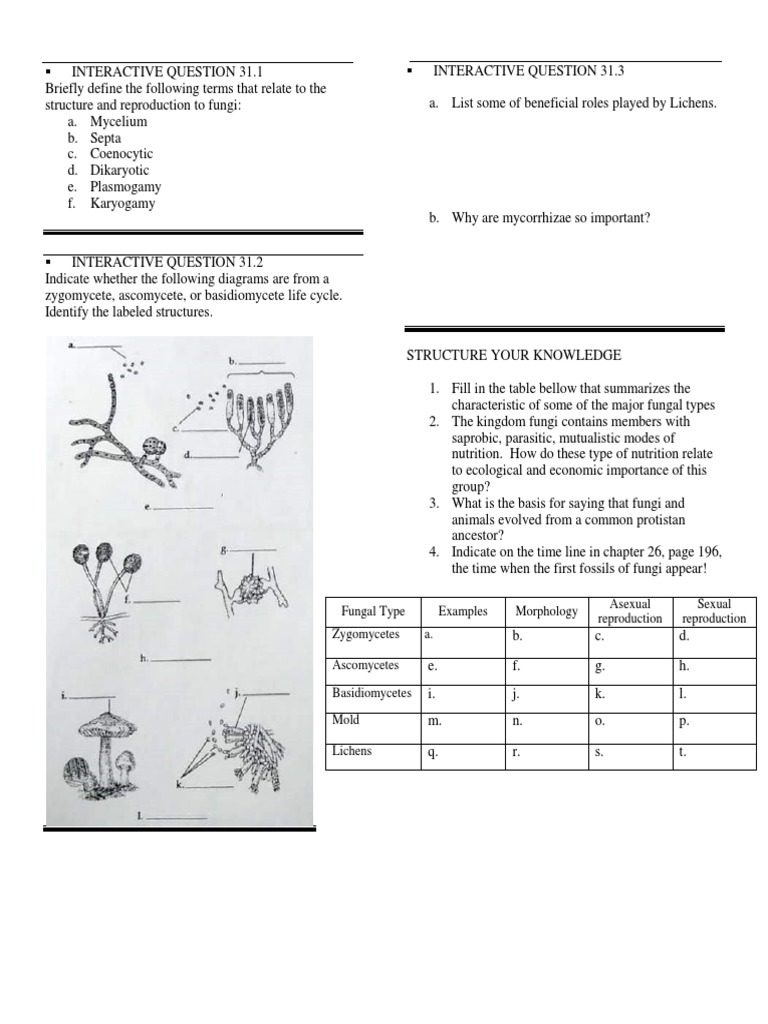 Fungi Questions | PDF | Fungus | Eukaryotes