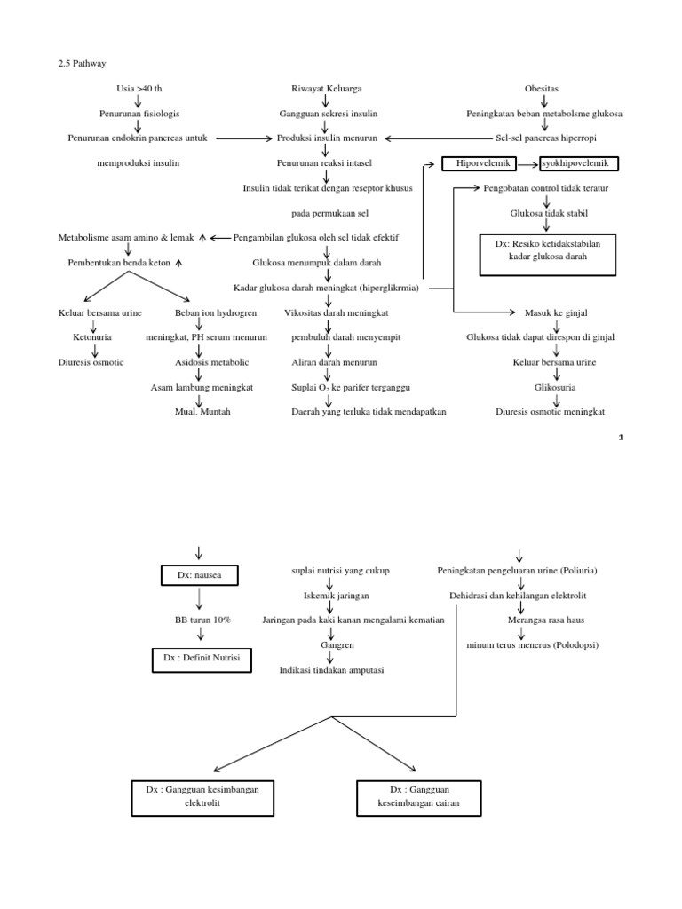Pathway HHNS | PDF