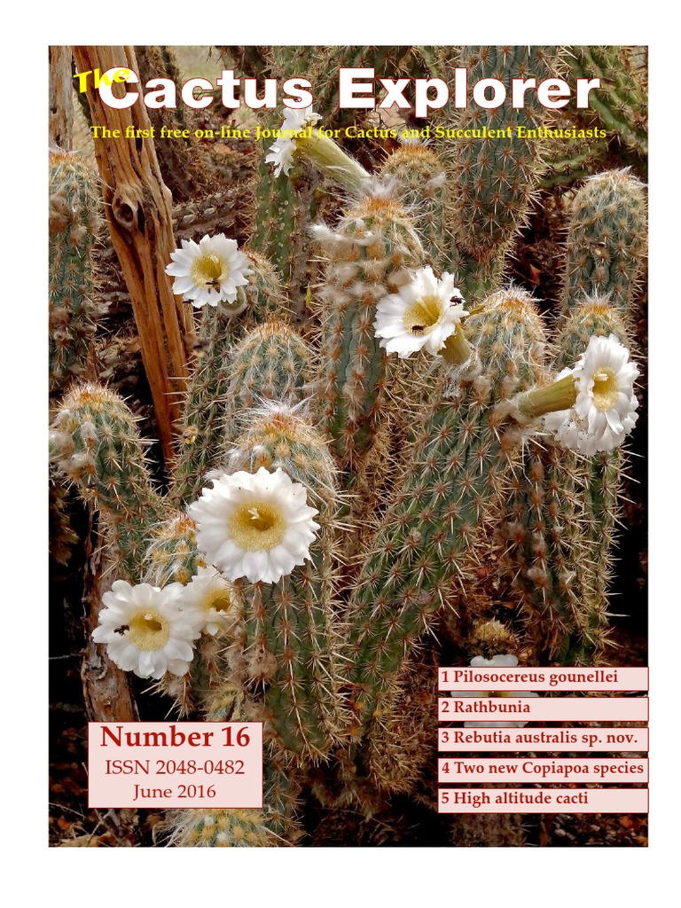 Cactus Explorer 16 - Complete | PDF | Publishing | Botany
