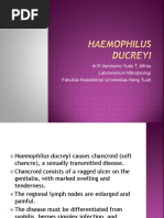 Lesson Plan On CPR | PDF | Cardiopulmonary Resuscitation | Medical ...