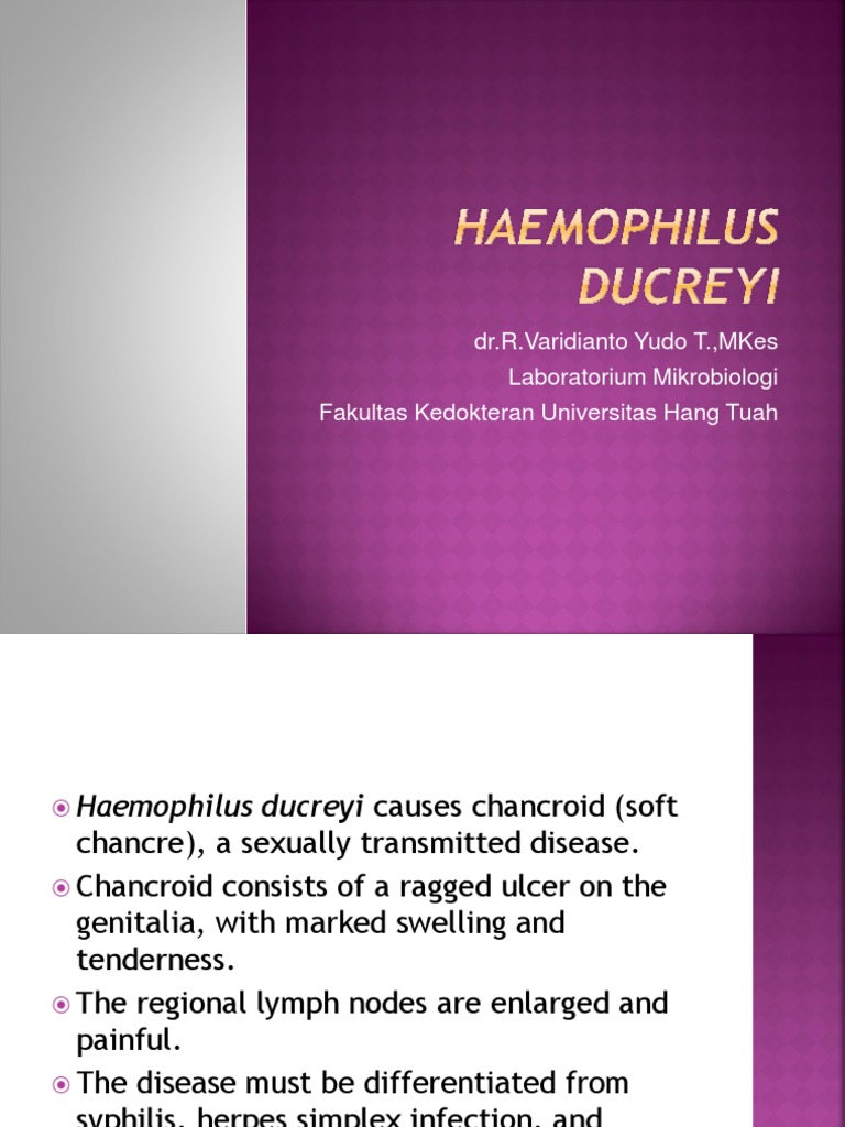 Haemophilus ducreyi and Chancroid Overview | PDF | Immunology | Medical ...