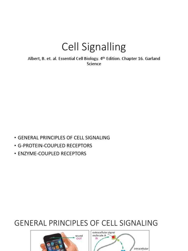 Cell Signalling PDF | PDF