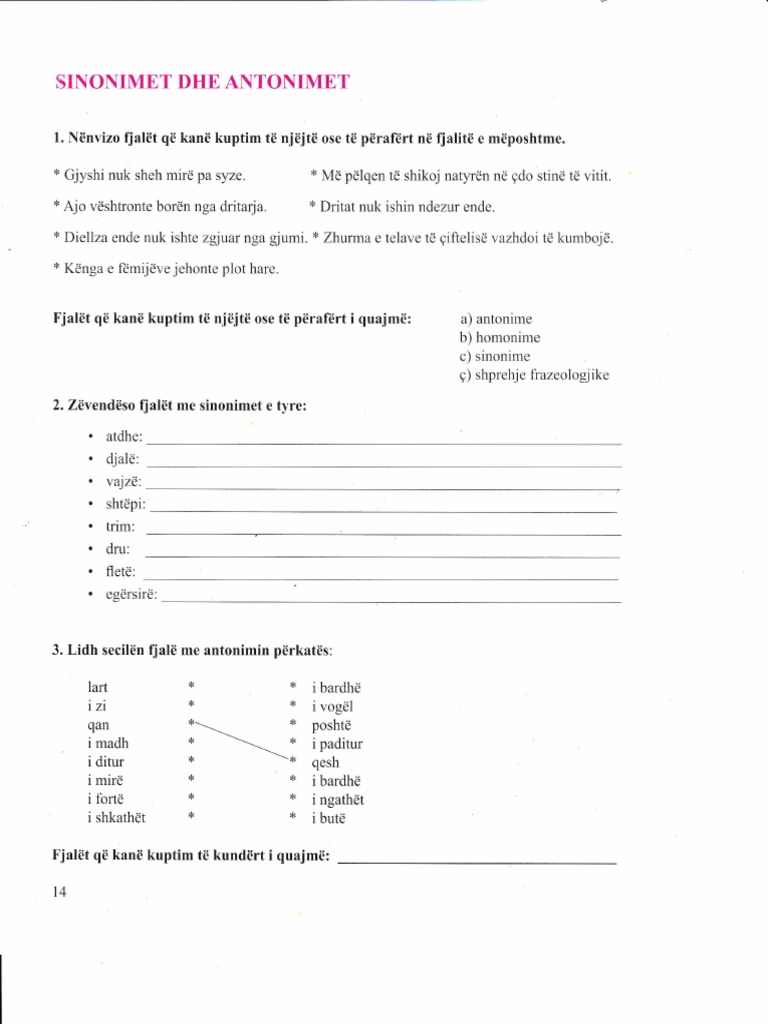 FP-sinonimet dhe antonimet