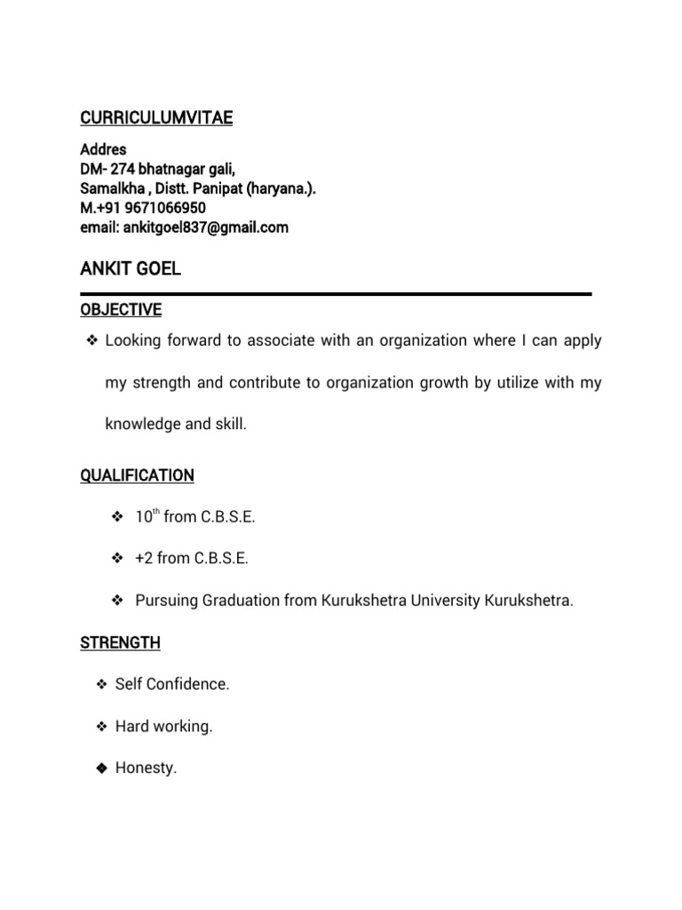 Ankit CV | PDF