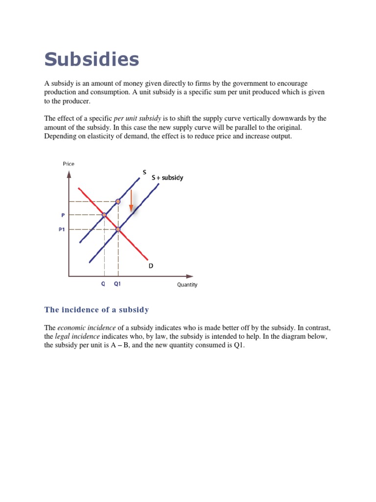 Subsidies | PDF | Supply And Demand | Subsidy
