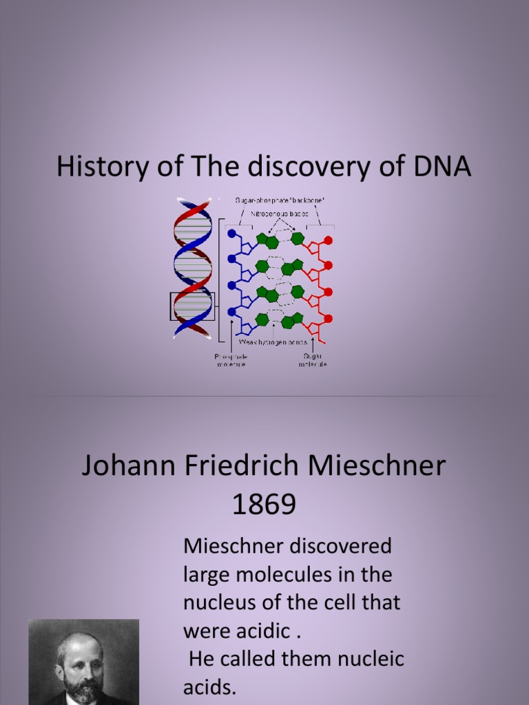 History of The Discovery of Dna | PDF | Francis Crick | Dna