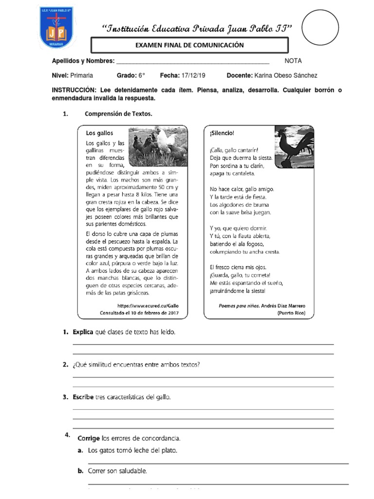 Examen Final de Comunicación 6° Grado | PDF