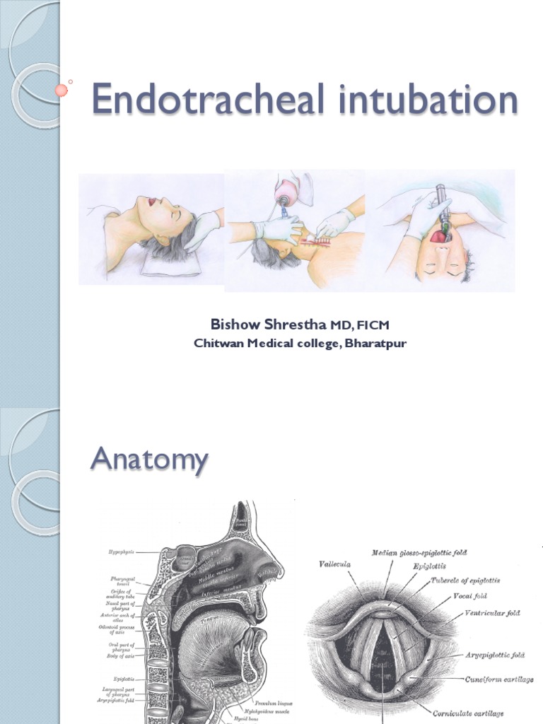 Endotracheal Intubation Anatomy