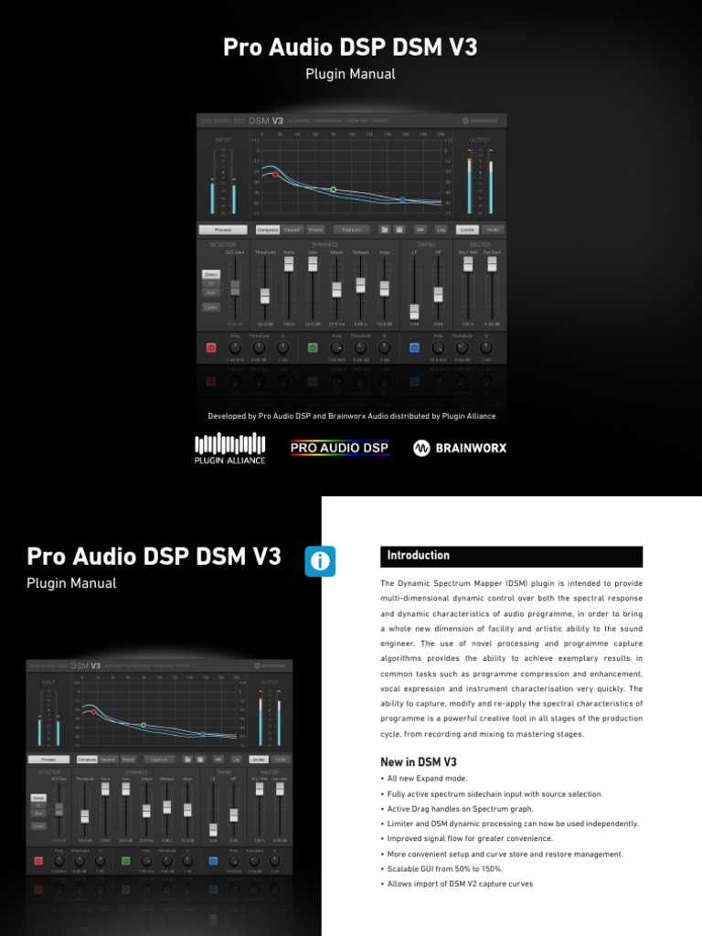 Pro Audio DSP DSM V3 Manual PDF | PDF | Equalization (Audio) | Digital ...