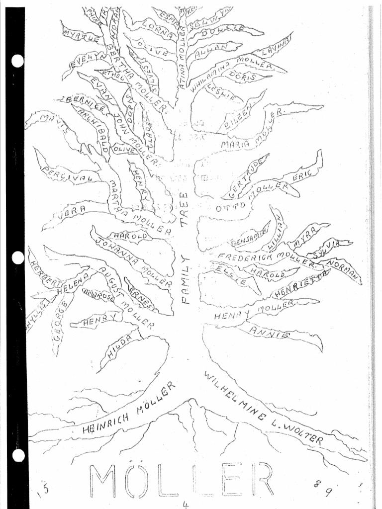 MOLLER Family Book by Faulkner 1989 | PDF