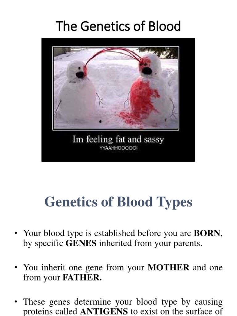 Blood Typing and Genetics | PDF | Dominance (Genetics) | Allele