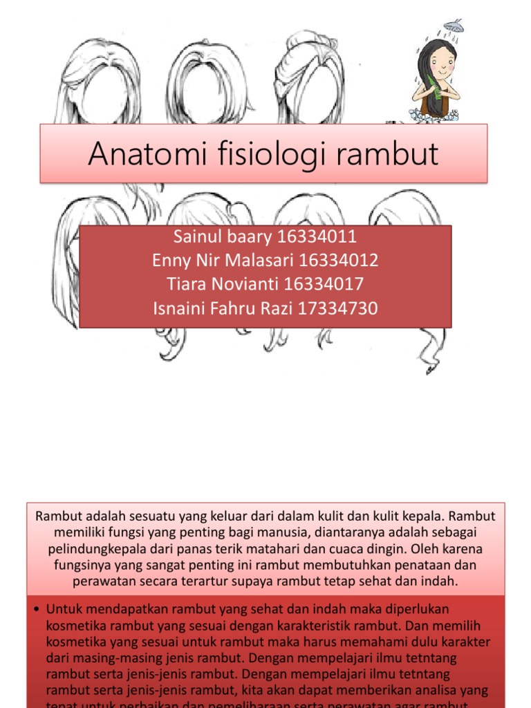 Anatomi Fisiologi Rambut | PDF