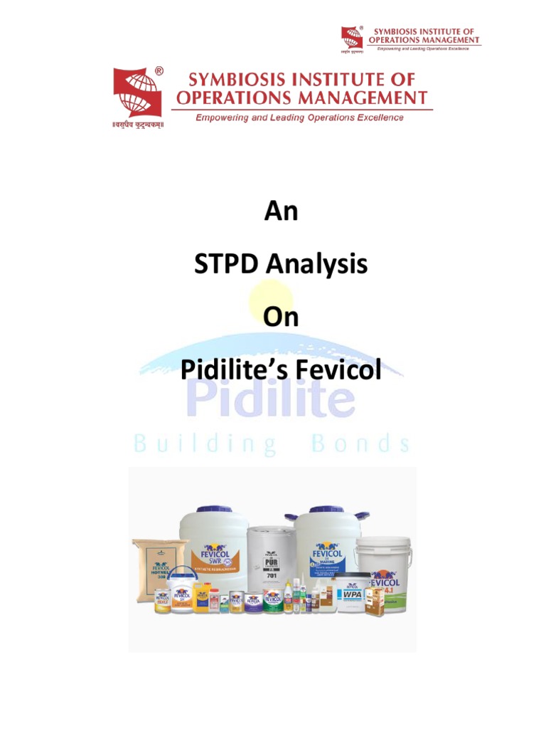 An STPD Analysis of Pidilite | PDF | Market Segmentation | Target Audience