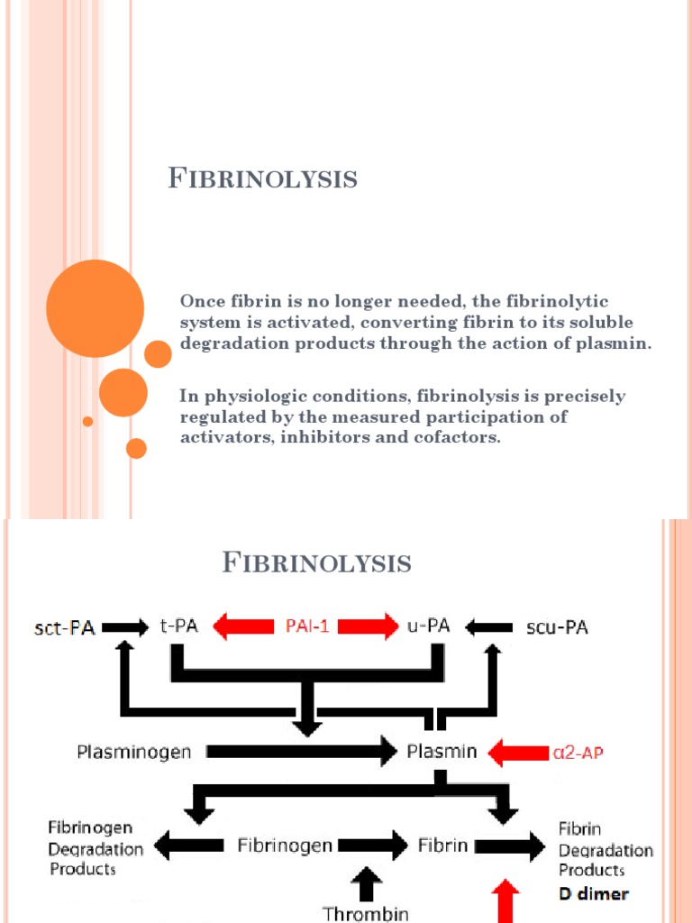 Fibrinolysis | PDF | Coagulation | Thrombosis