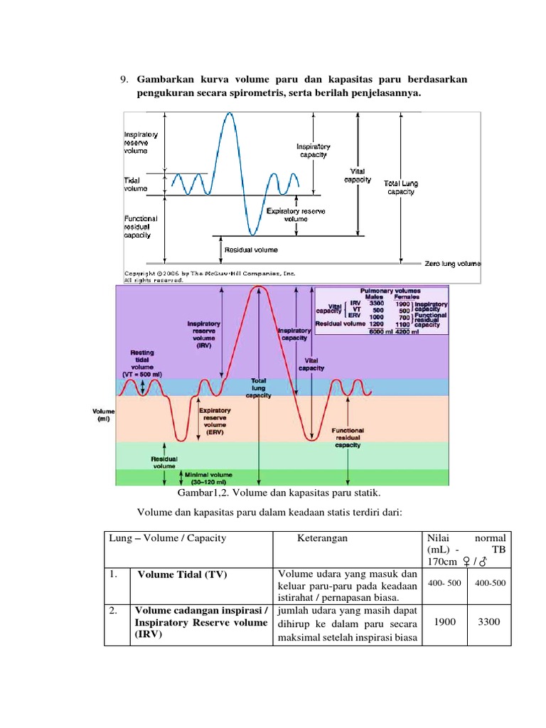 Gambarkan Kurva Volume Paru Dan Kapasitas Paru Berdasarkan Pengukuran ...