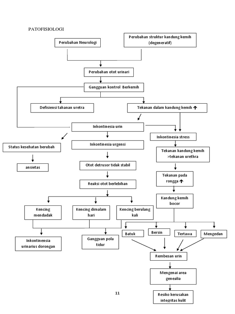 Patofisiologi Inkontinensia Urin | PDF