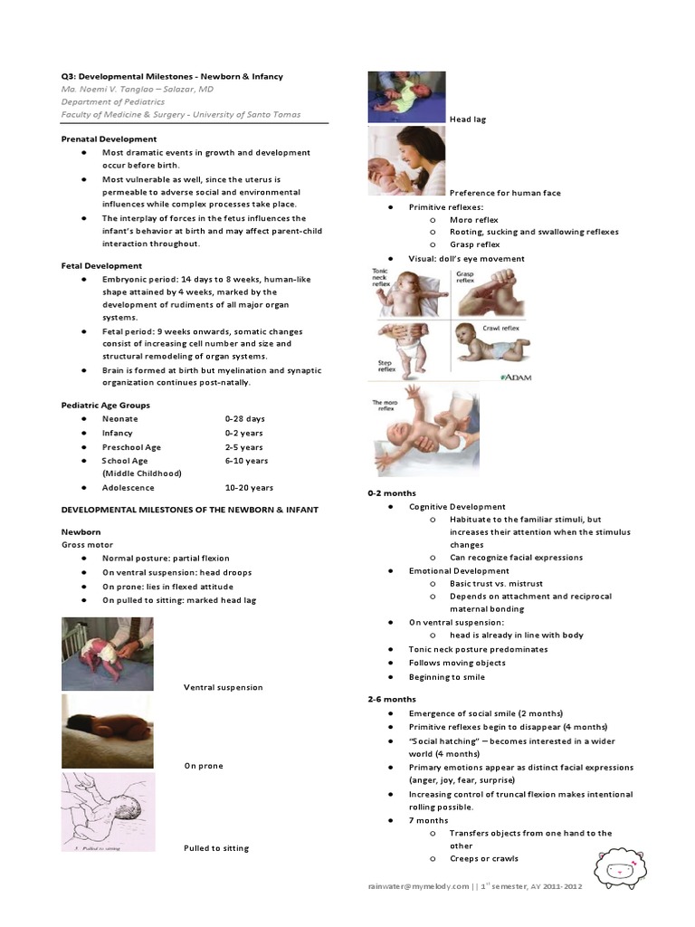 Newborn and Infant Development Milestones | PDF | Child Development ...