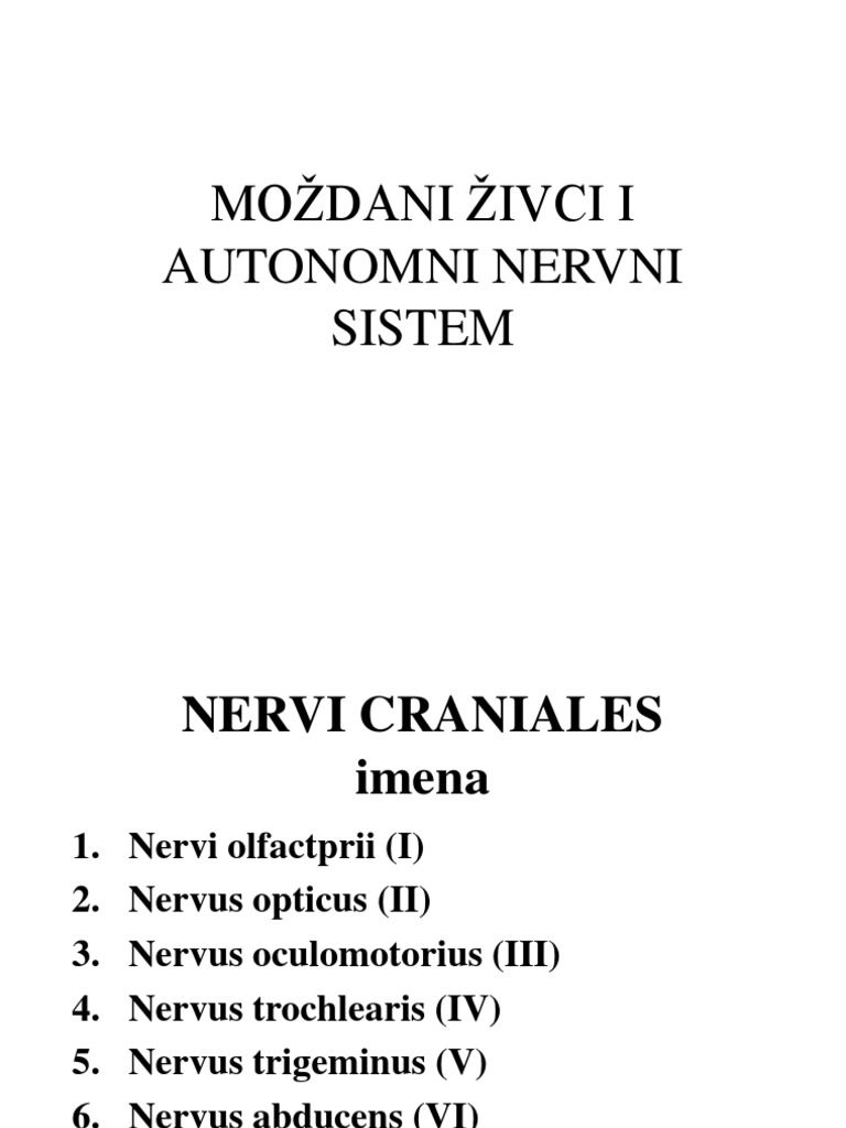 Mozdani Zivci I Autonomni Nervni Sistem | PDF | Anatomia animal ...