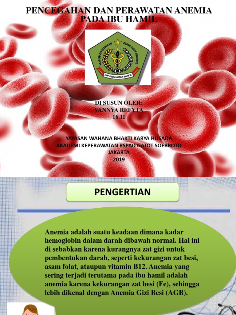 Anemia Ibu Hamil | PDF