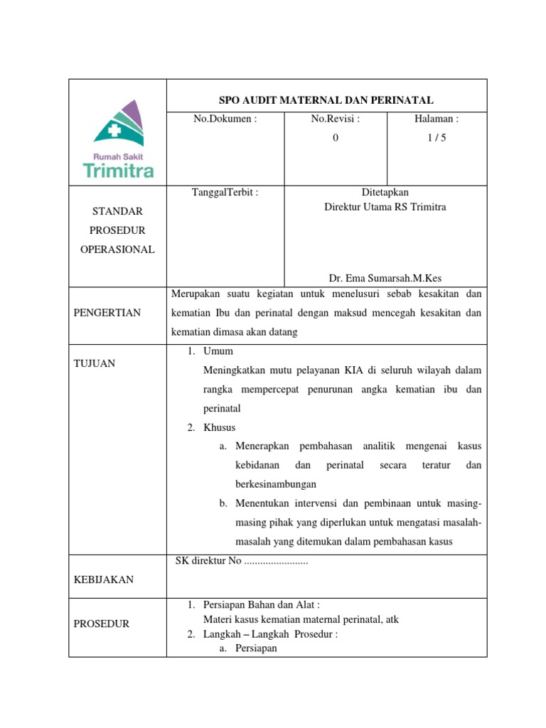 Spo Audit Maternal Dan Perinatal | PDF