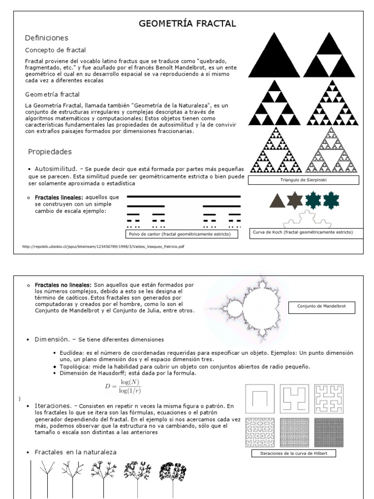 Ejemplos y Definición de Geometría Fractal | PDF | Fractal | Dimensión