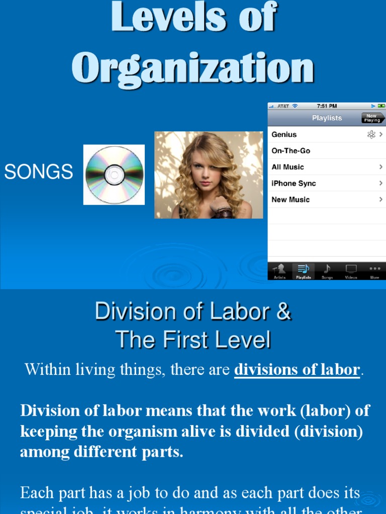 Levels of Organization Powerpoint | PDF | Tissue (Biology) | Organ ...