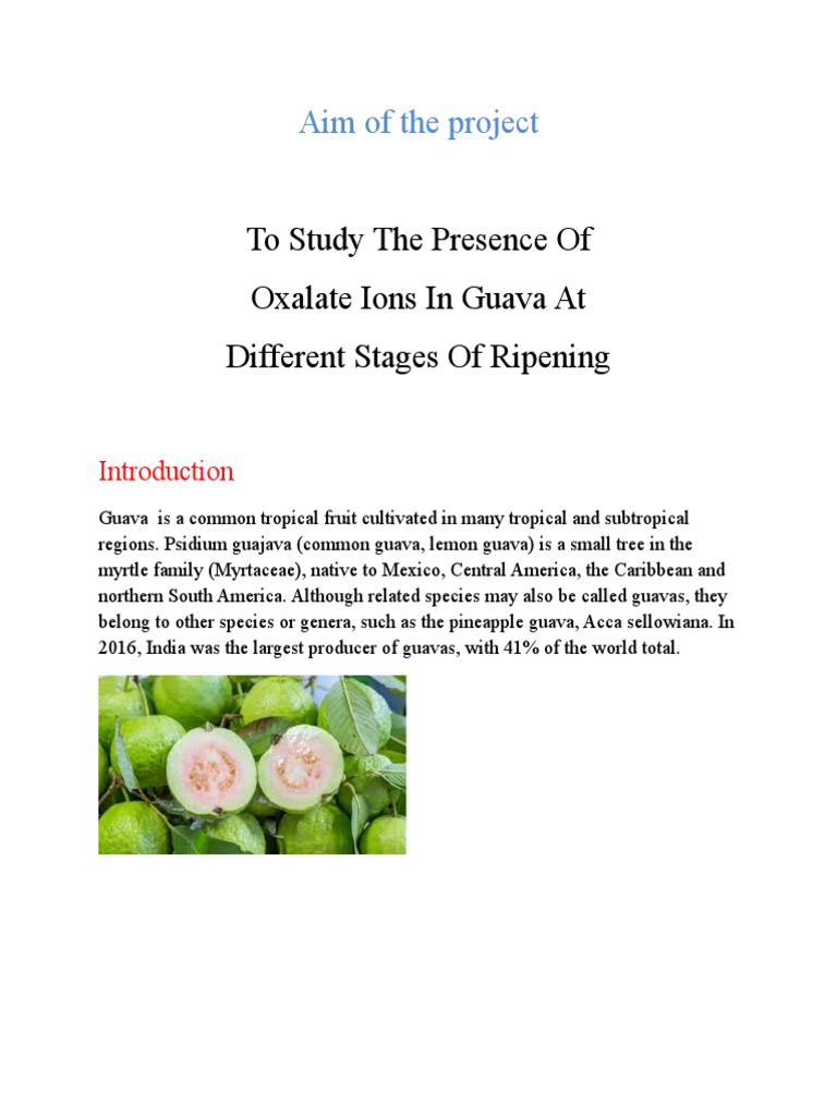 Oxalate Ion Study in Guava Ripening | PDF | Titration | Chemistry