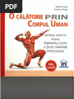 Lista Coduri 999 Revizia X | PDF
