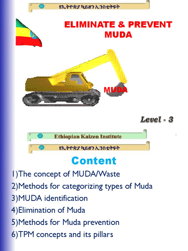 Muda | PDF | Inventory | Profit (Economics)