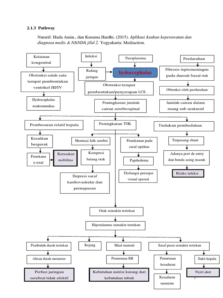 Pathway Hydrocephalus-1 | PDF
