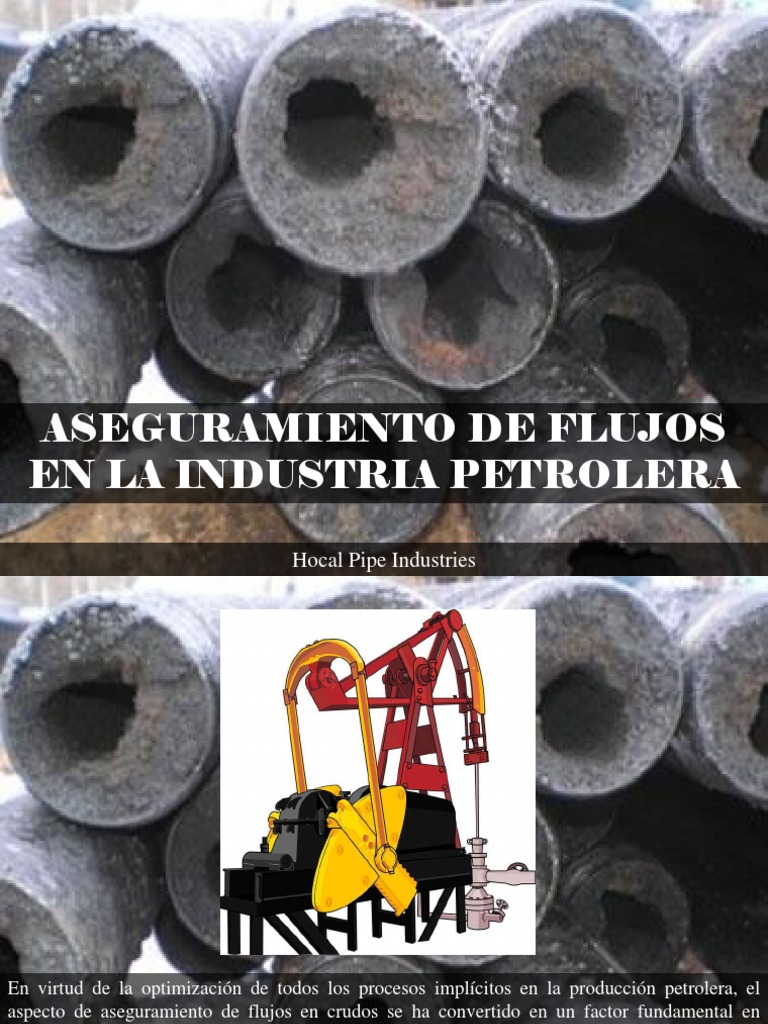 Hocal Pipe Industries - Aseguramiento de Flujos en La Industria ...