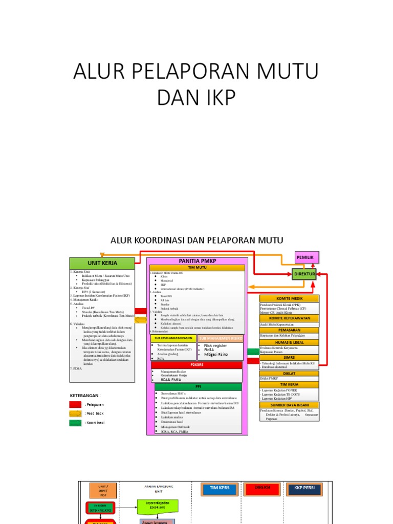 Alur Pelaporan Mutu Dan IKP | PDF
