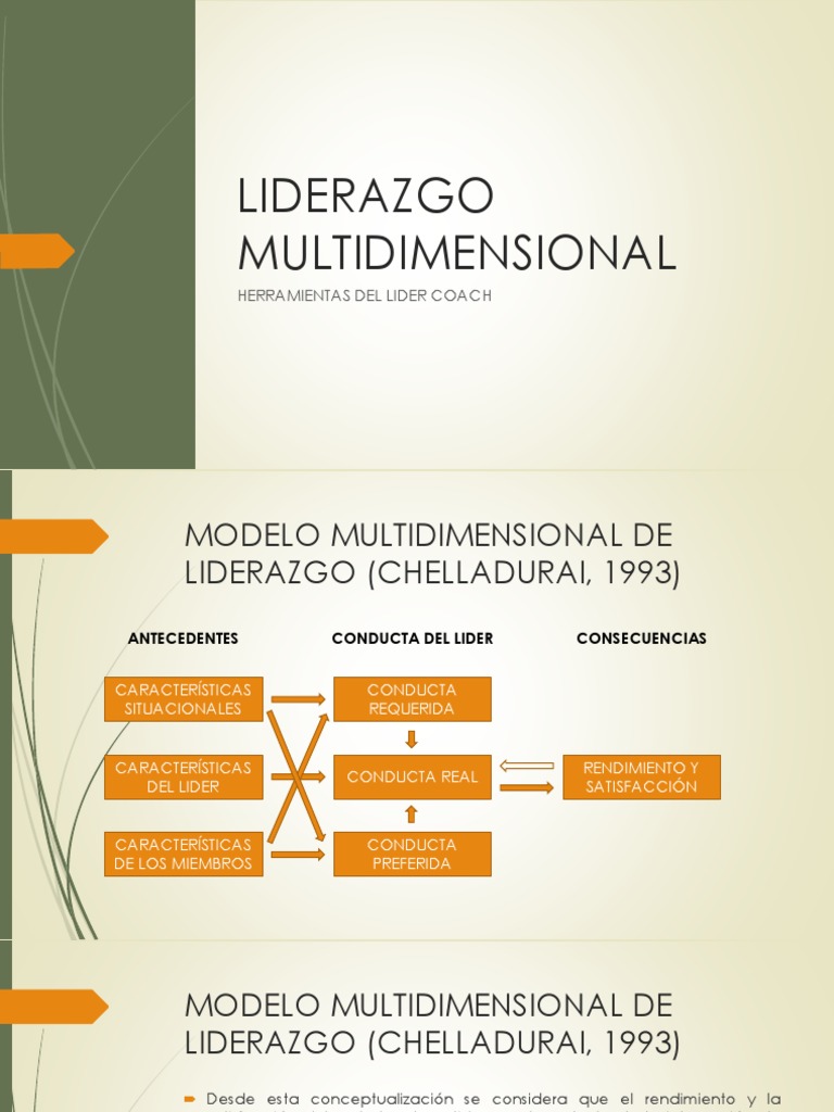 Liderazgo Multidimensional PDF | PDF | Comportamiento | Liderazgo