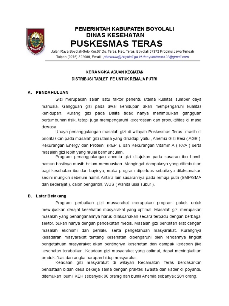 Kak Pemberian TTD Pada Remaja Smp-Sma | PDF