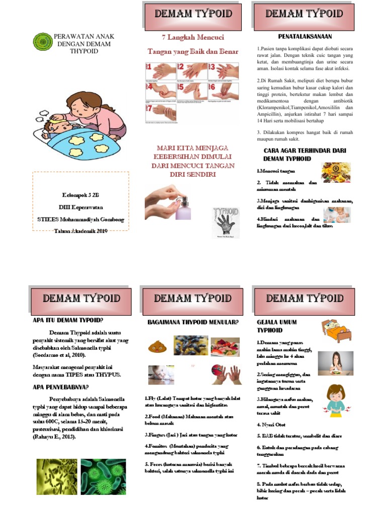 Leaflet Tipoid | PDF