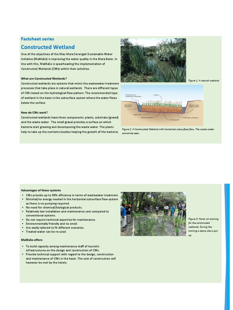 Constructed Wetland | PDF