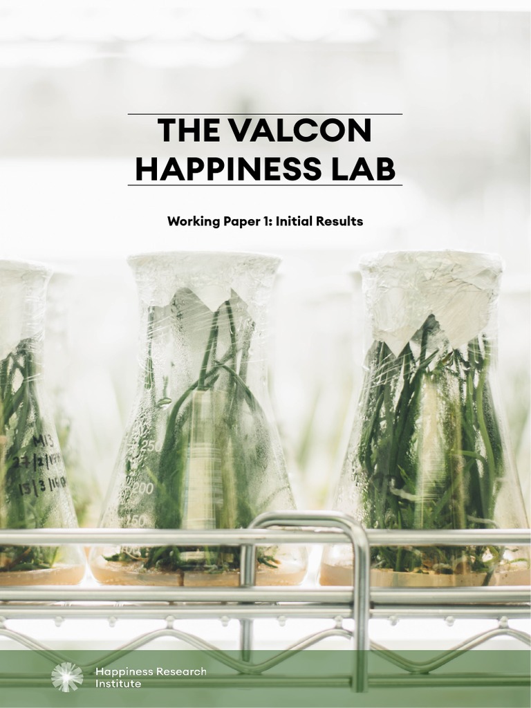 The Valcon Happiness Lab - Initial Results PDF | PDF | Survey ...
