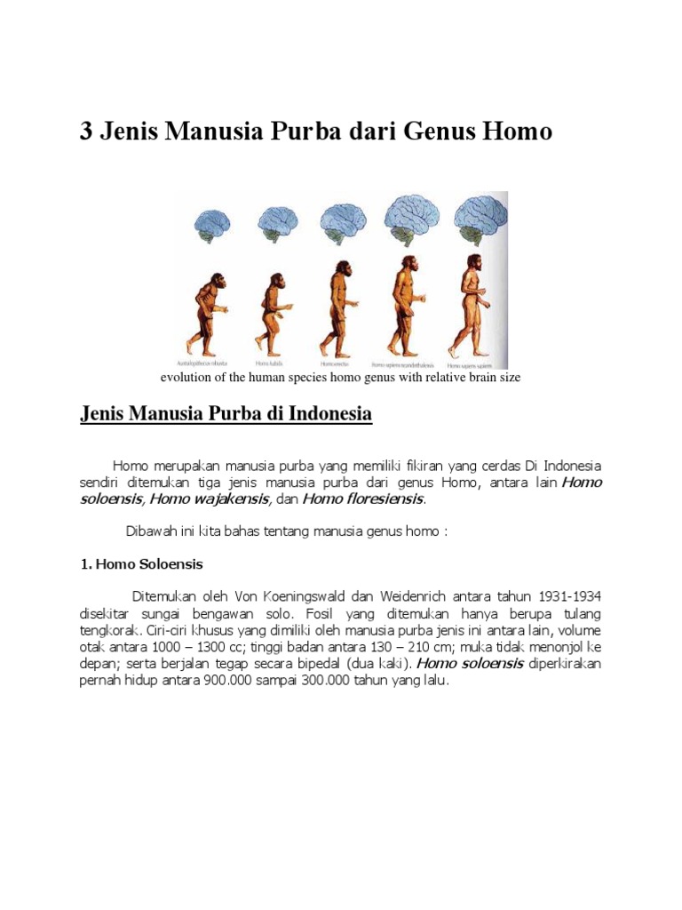 3 Jenis Manusia Purba Dari Genus Homo | PDF