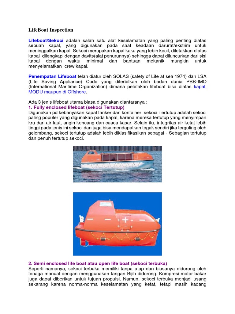 Contoh LifeBoat Inspection | PDF