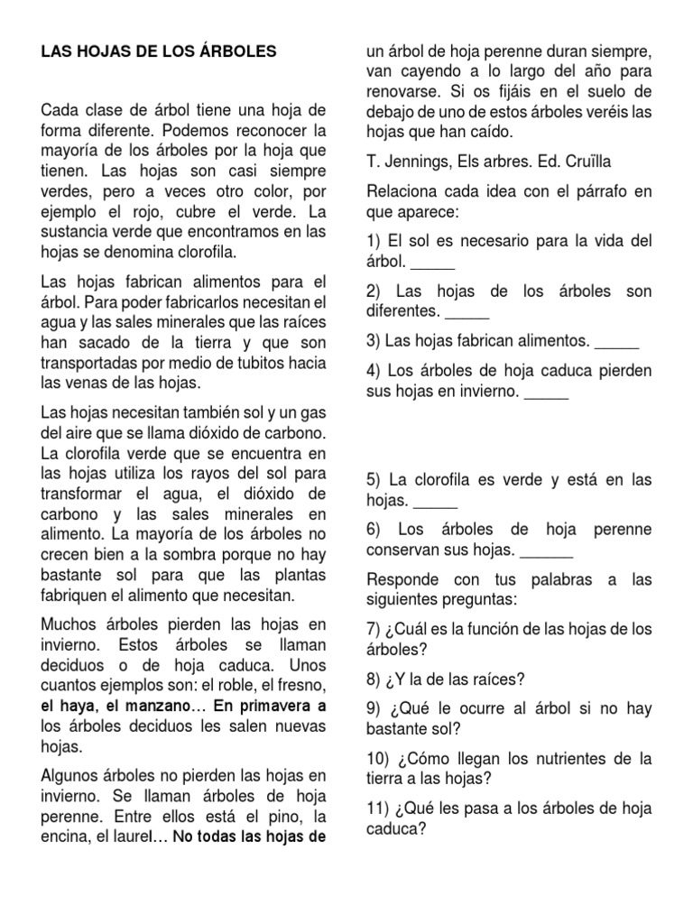 Función y tipos de hojas en árboles | PDF | Hoja | Arboles