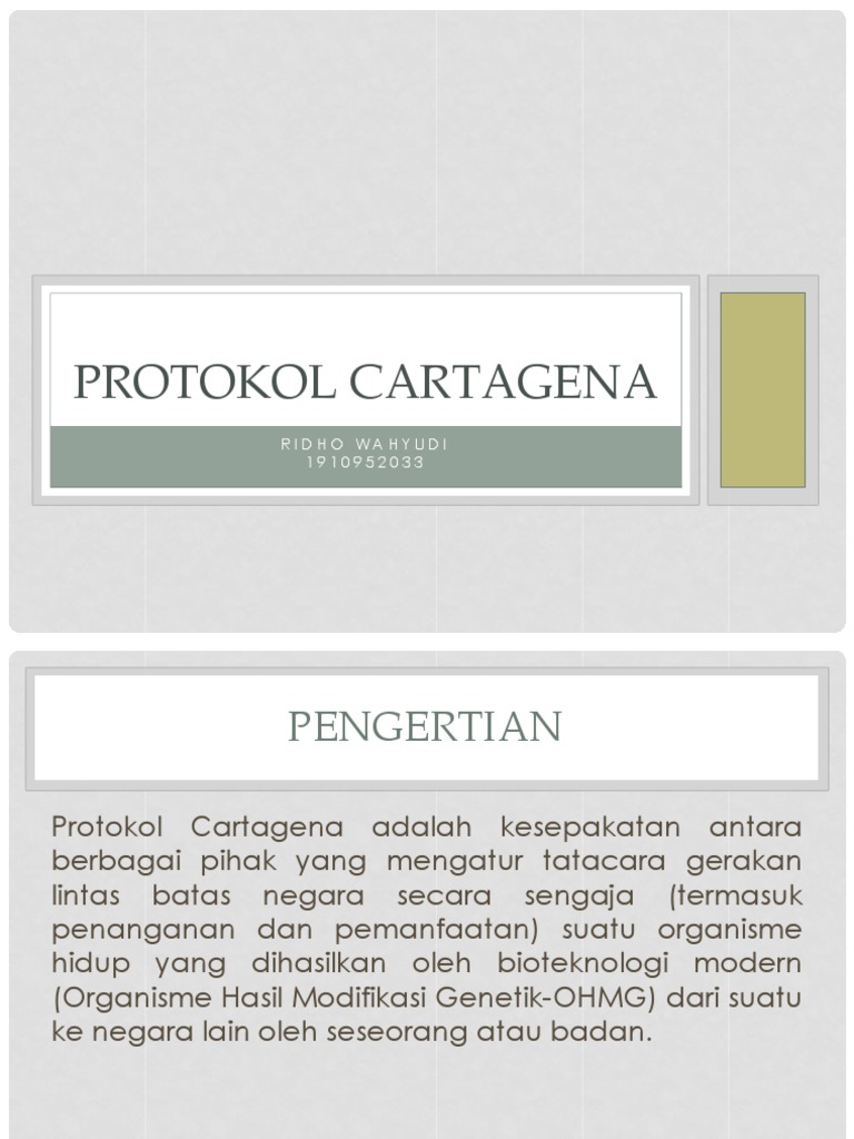 Protokol Cartagena | PDF