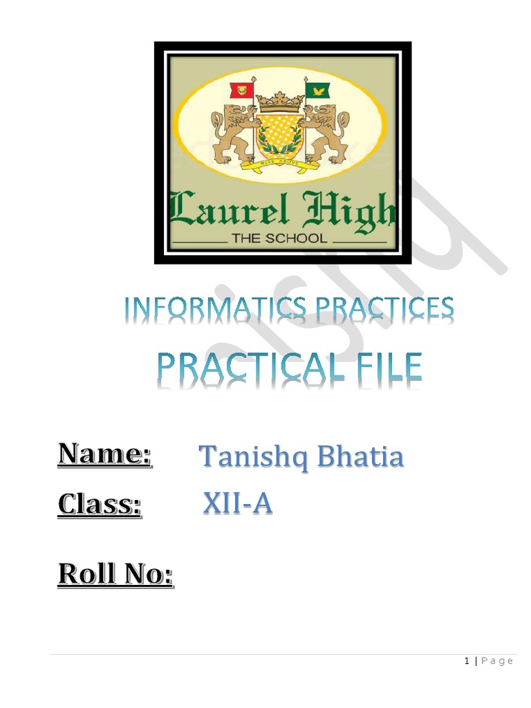 Shashwat Practicle File Class XII | PDF | Areas Of Computer Science | Computing