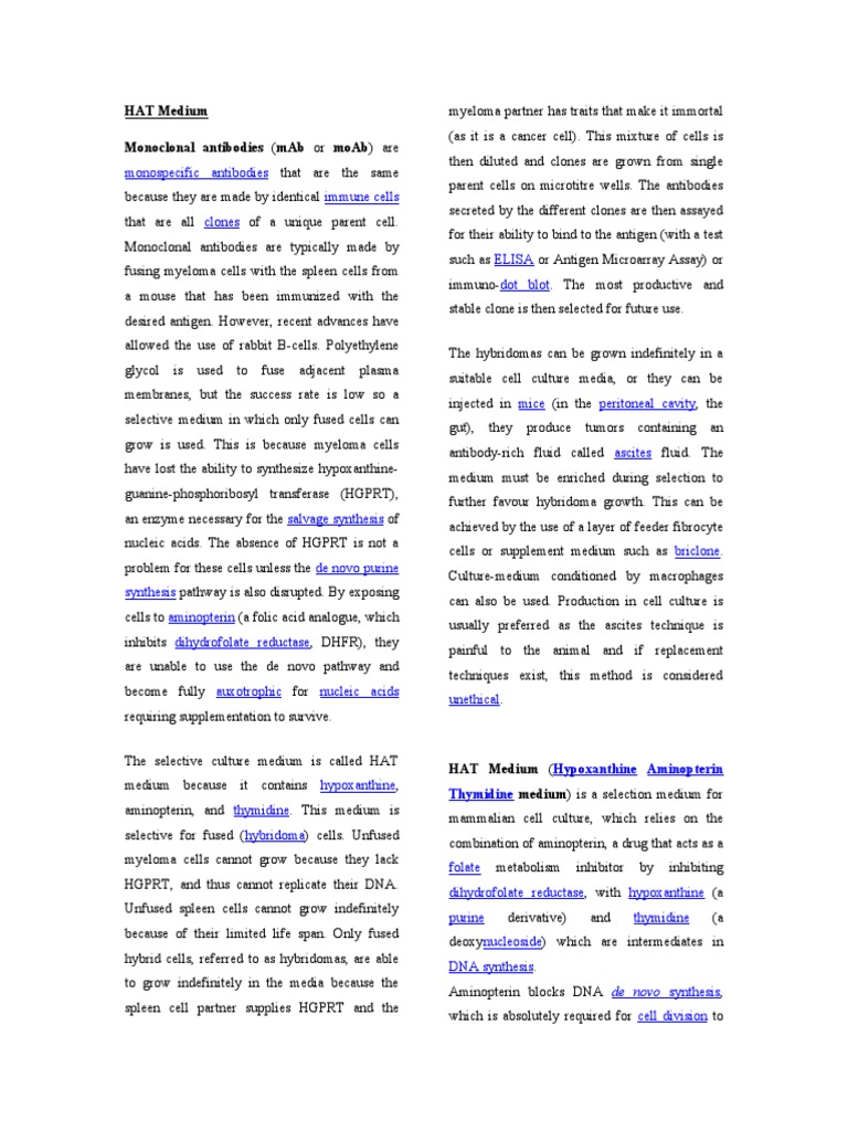 HAT Medium Selection Process for Monoclonal Antibodies | PDF ...