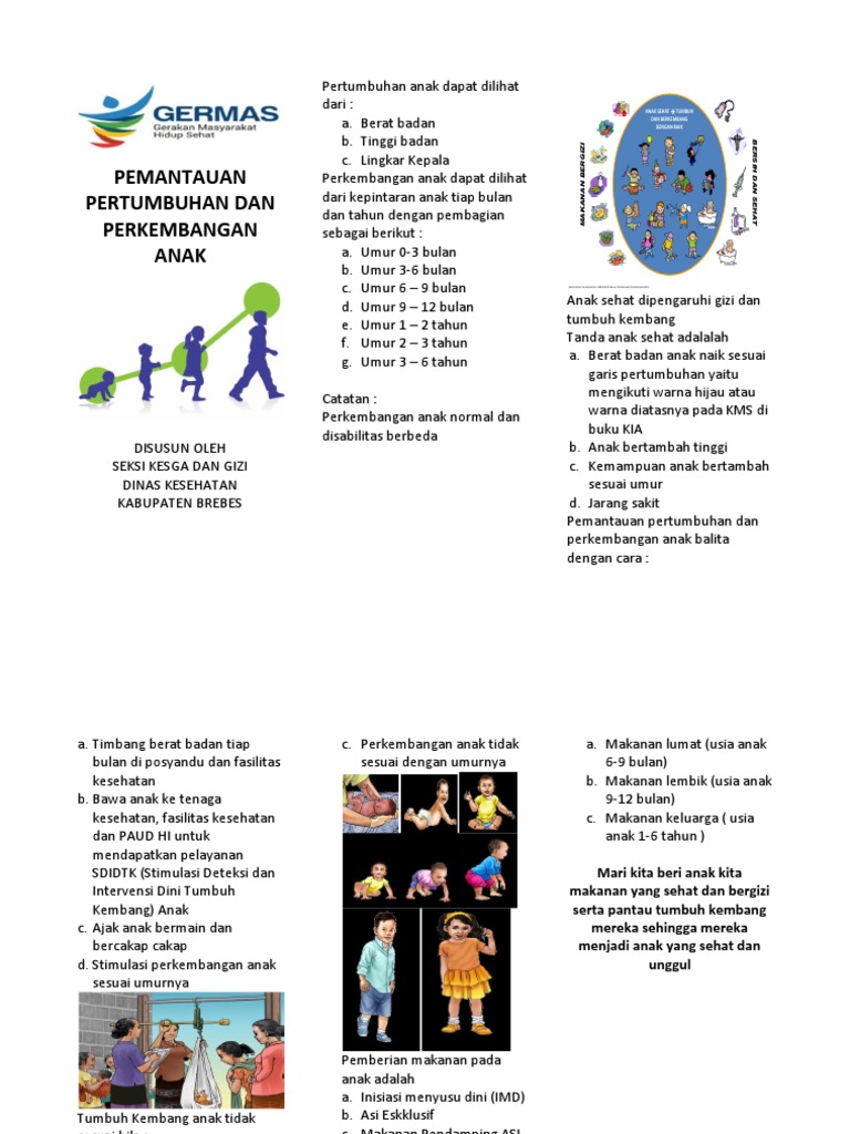 07 Leaflet SDIDTK | PDF